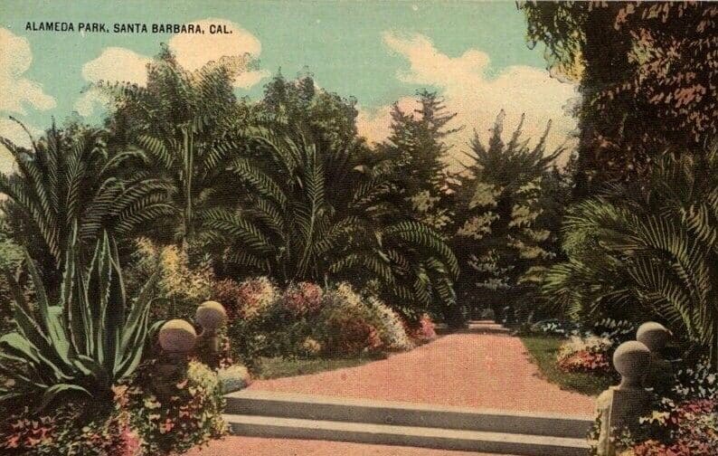 Sunday, June 11: Trees of Alameda Park – Santa Ynez Valley Natural ...